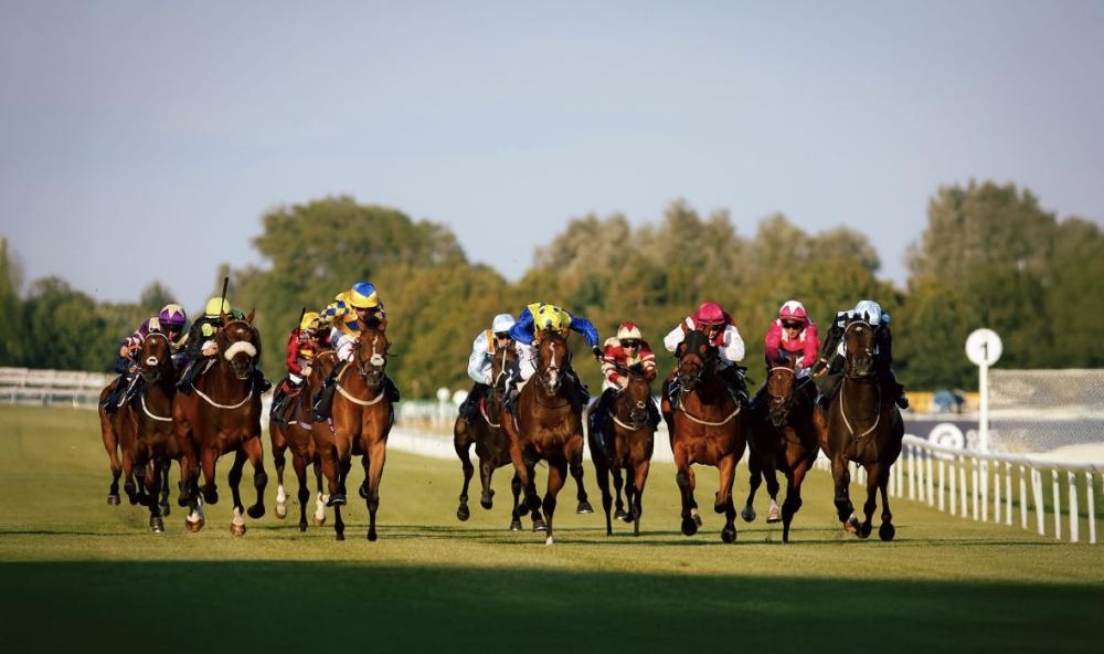 Newbury Racecourse partners with Sky Sports Racing