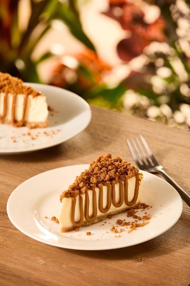 Swindon Link | Bringing Swindon Together