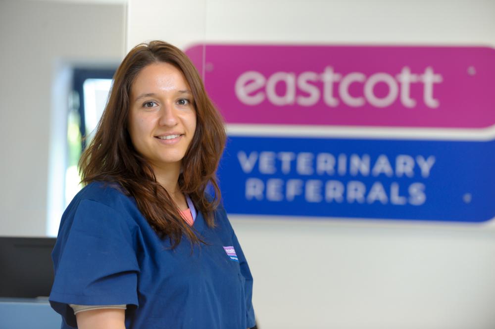 Swindon veterinary surgeon earns specialist status