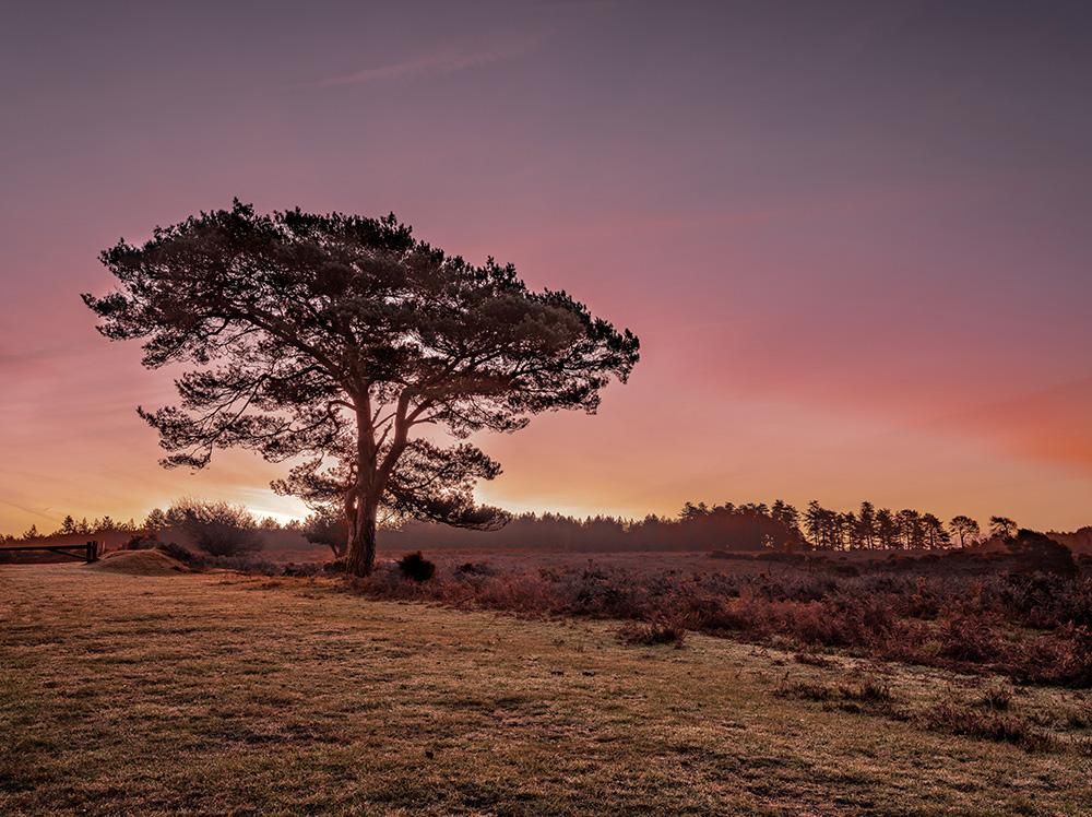 Photo retailer's tips to capture Instagram-worthy Summer sunset shots
