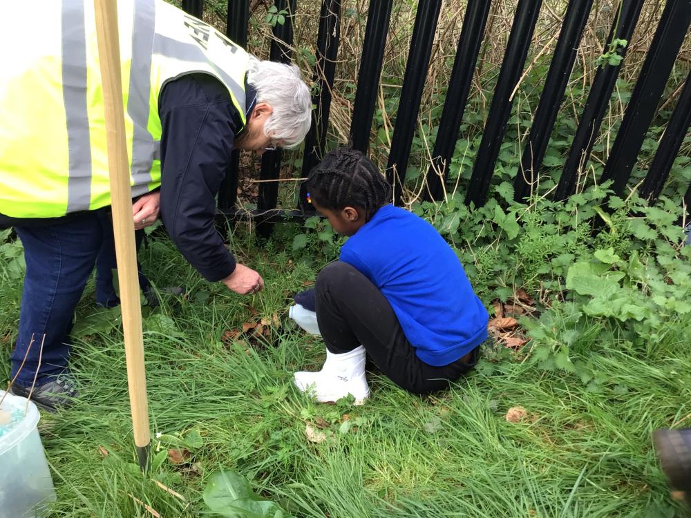 Tree planting at iconic Old Town church