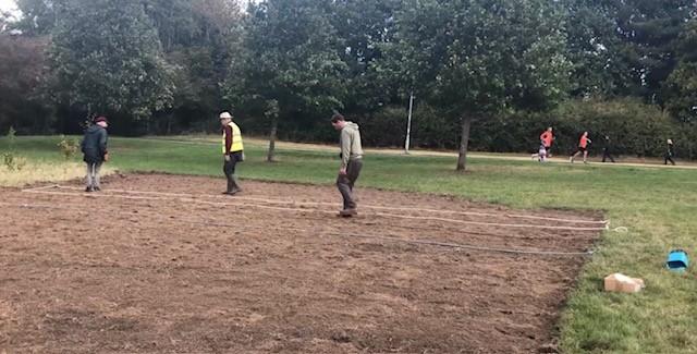 A fabulous new wildflower meadow for Shaw Ridge