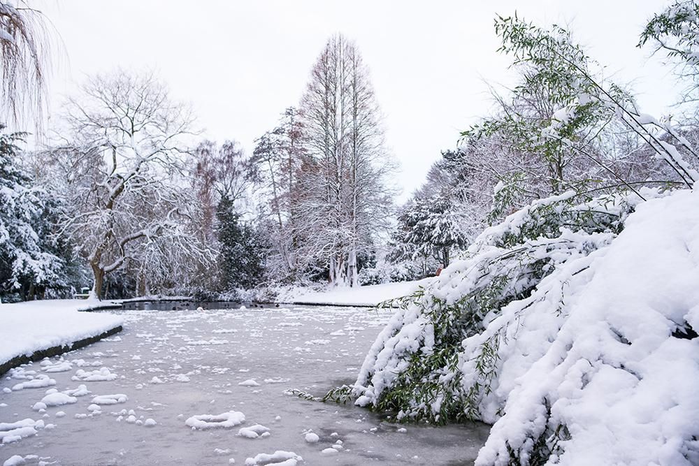 Fire and rescue service issues frozen waterway warning after Solihull ...