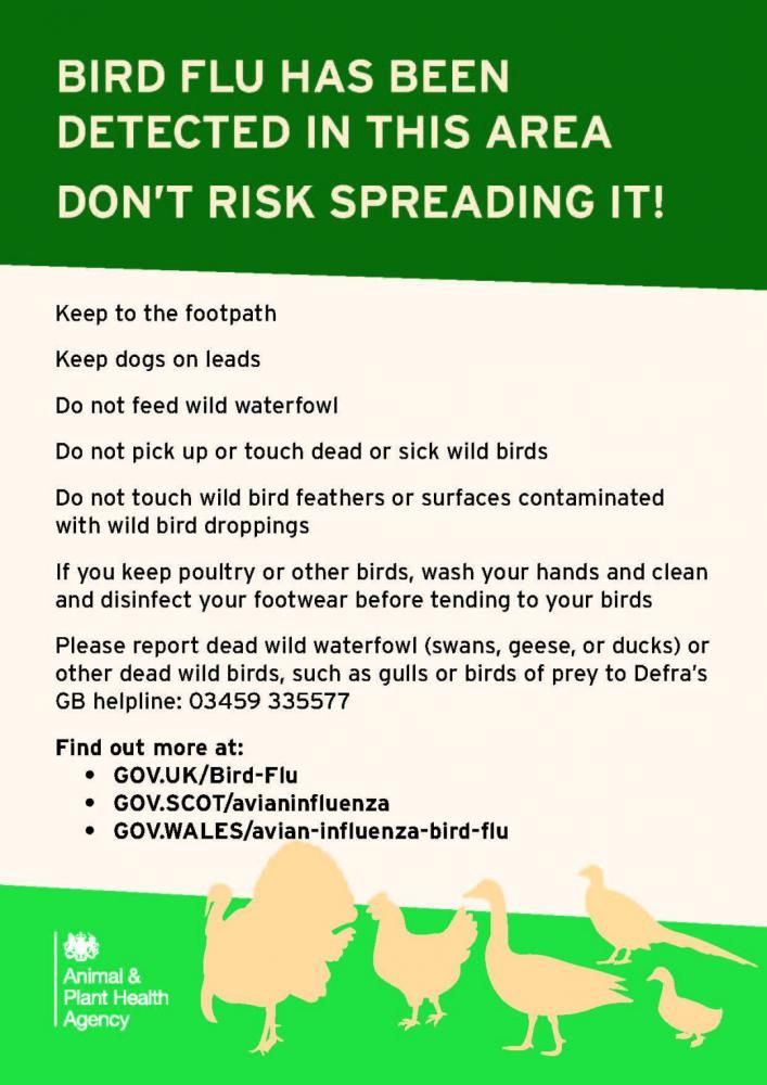 Public asked to be wary after bird flu has been detected in Swindon