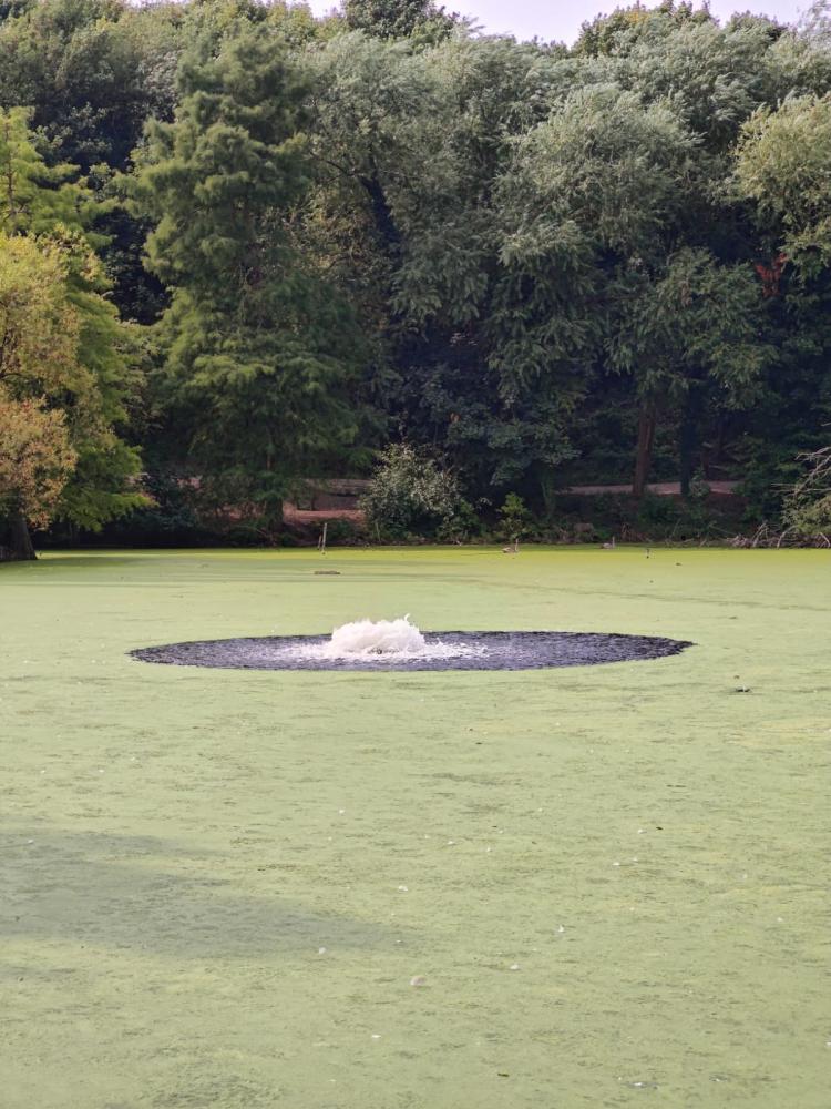 South Swindon Parish Council provide update on plans for Queen's Park Lake