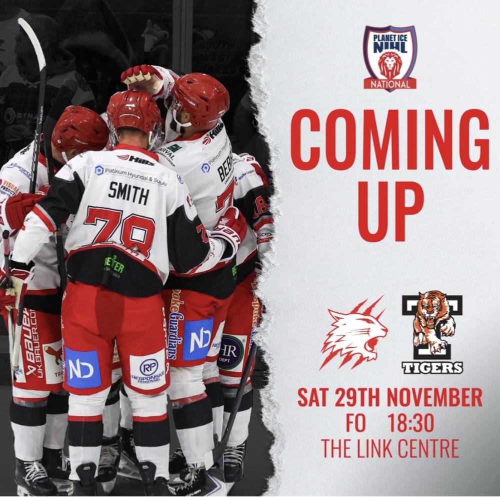 Wildcats Teddy Bear Toss game to raise money for charity