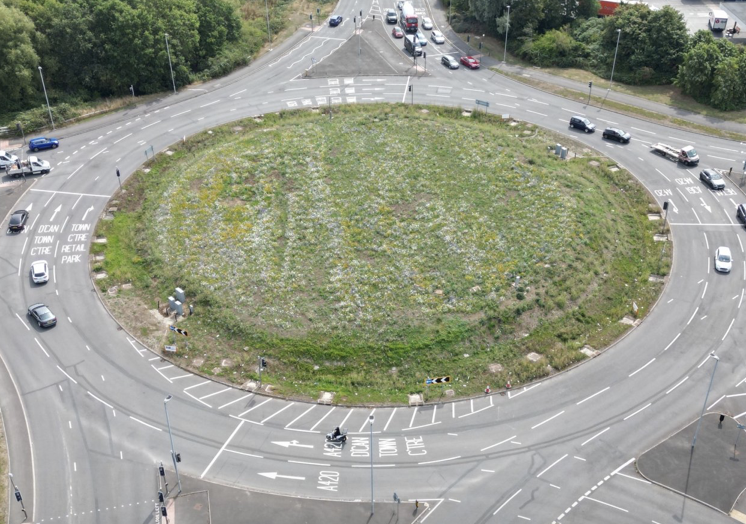 Major Swindon roundabout becomes pollinator haven