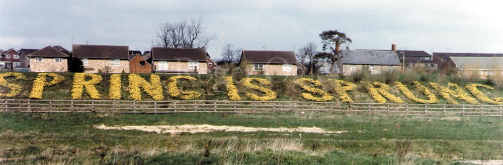 Swindon Link | Bringing Swindon Together