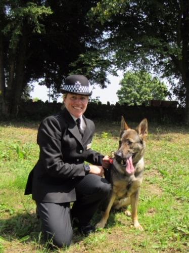 New police dogs join the force
