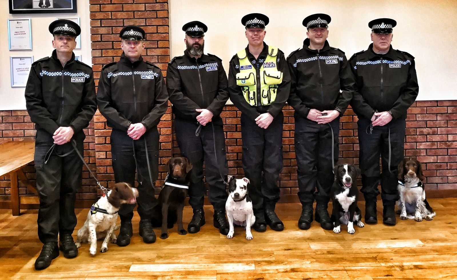 Five furry friends set to work alongside police officers